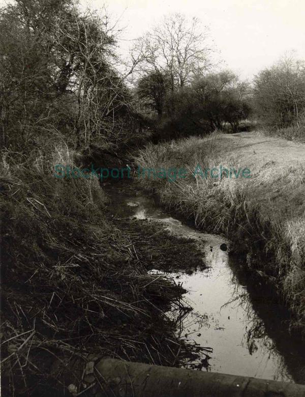 Stockport image archive - Stockport Council