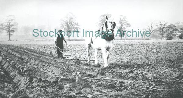Stockport image archive - Stockport Council
